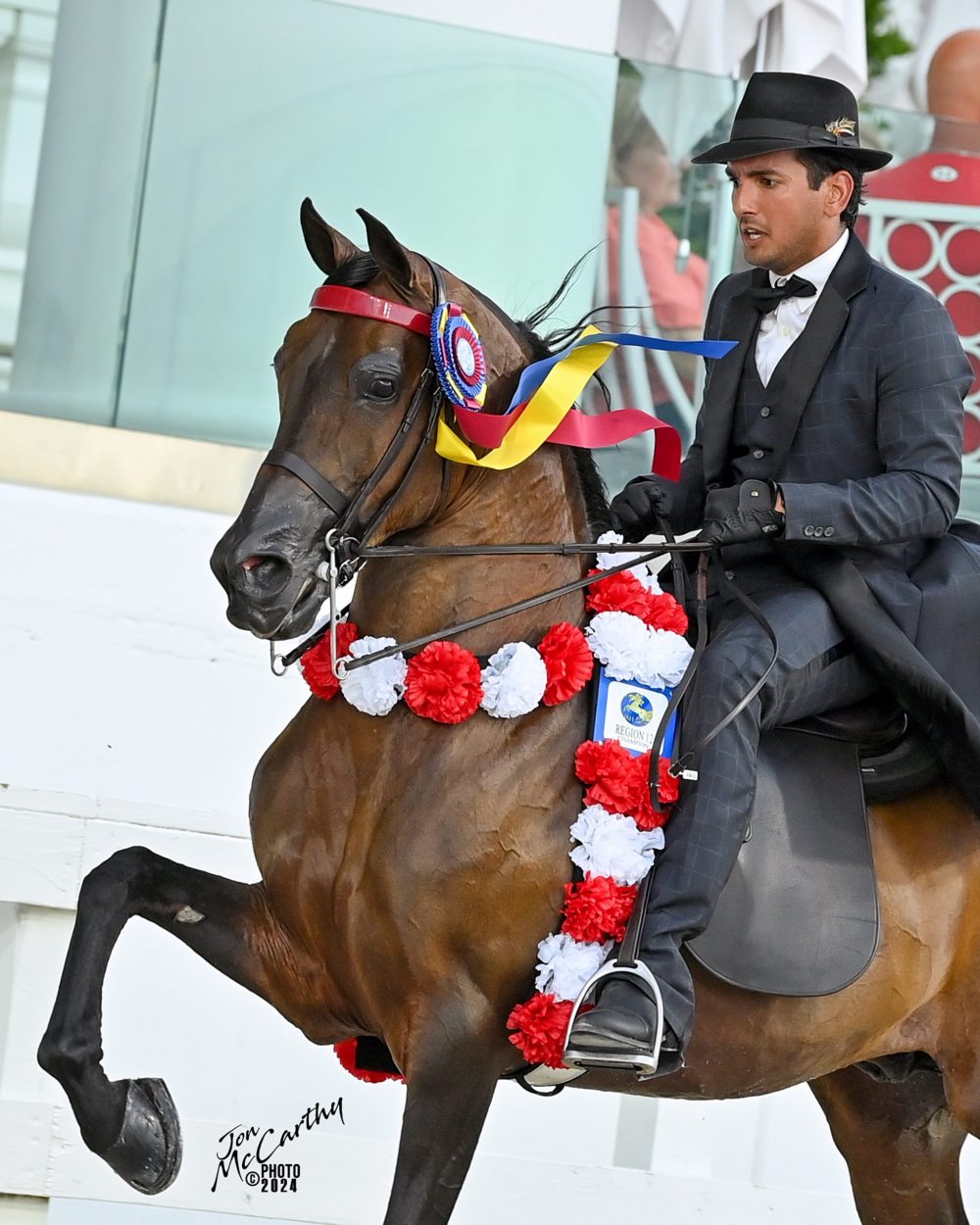 SF The Patriot – Region 12 Spotlight Futurity